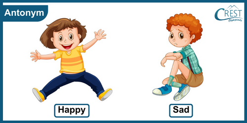 Antonyms for Class 2| English Olympiad Class 2