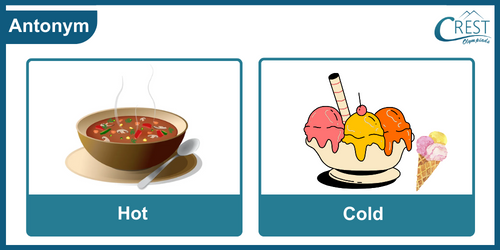 Antonyms for Class 2| English Olympiad Class 2