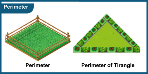 Perimeter Of Various Shapes For Class 4 | Practice Questions