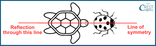 Download Class 7 Worksheet on Symmetry and Solid Shapes (PDF)