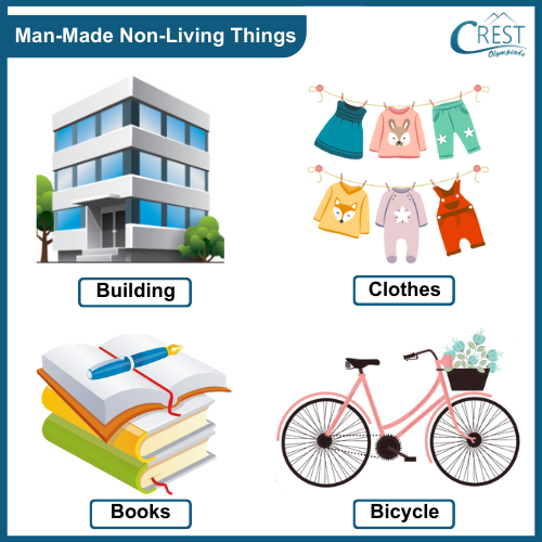 Living Non Living Things Class 1 Explained Living Non Living Things Class 1 Explained